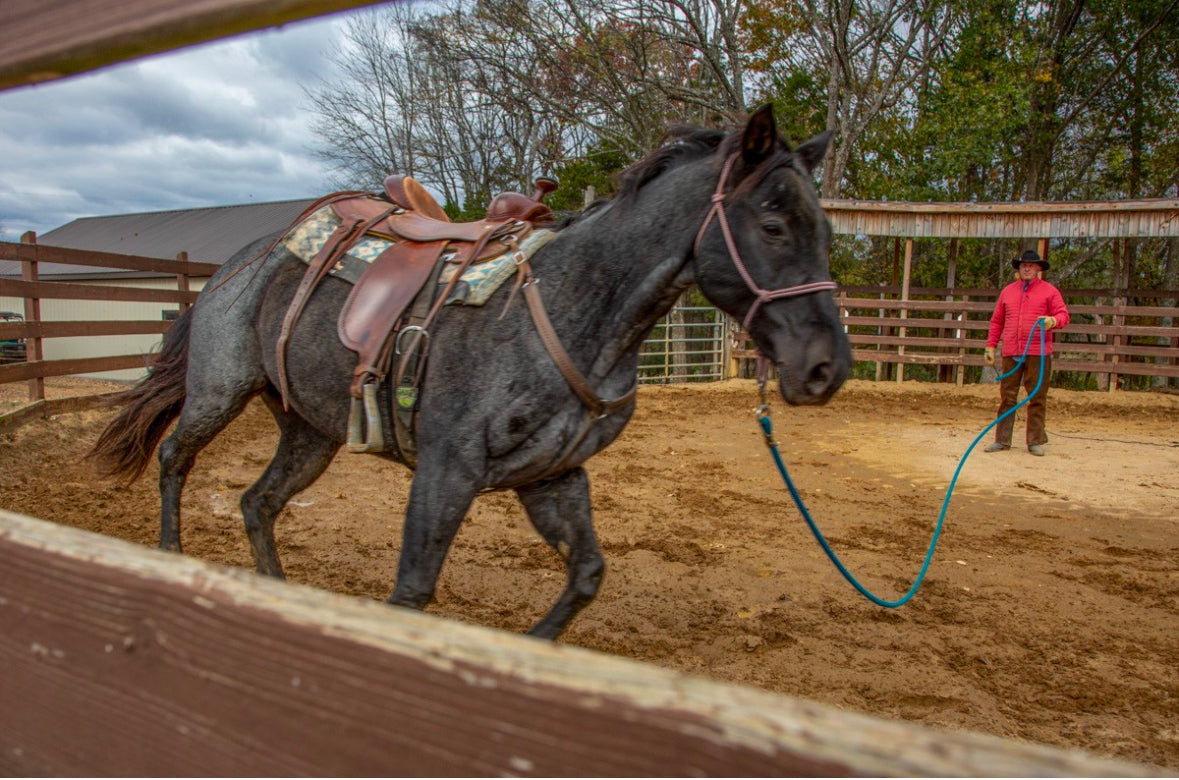 R&M Stables – R&M Stables